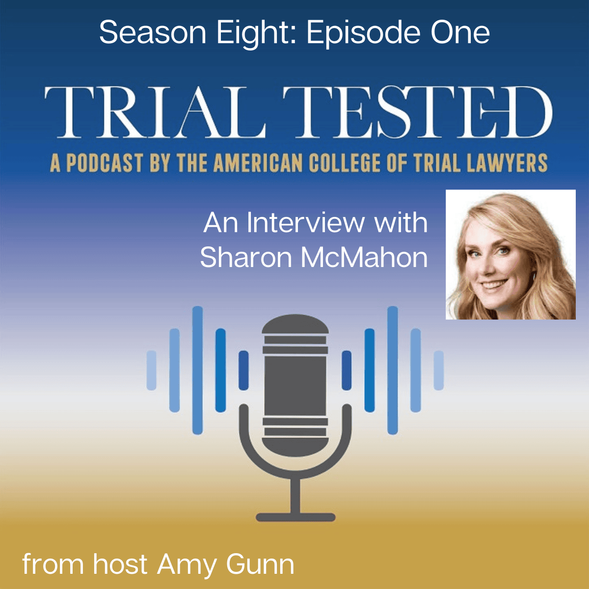 S8E1: Bridging Divides: Sharon McMahon on Civics, Democracy, and Civil ...